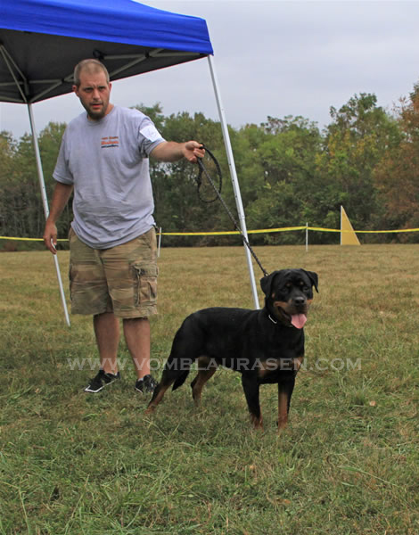 ARV National Sieger Show 2010 | Show Photography | 2010 USRC National ...